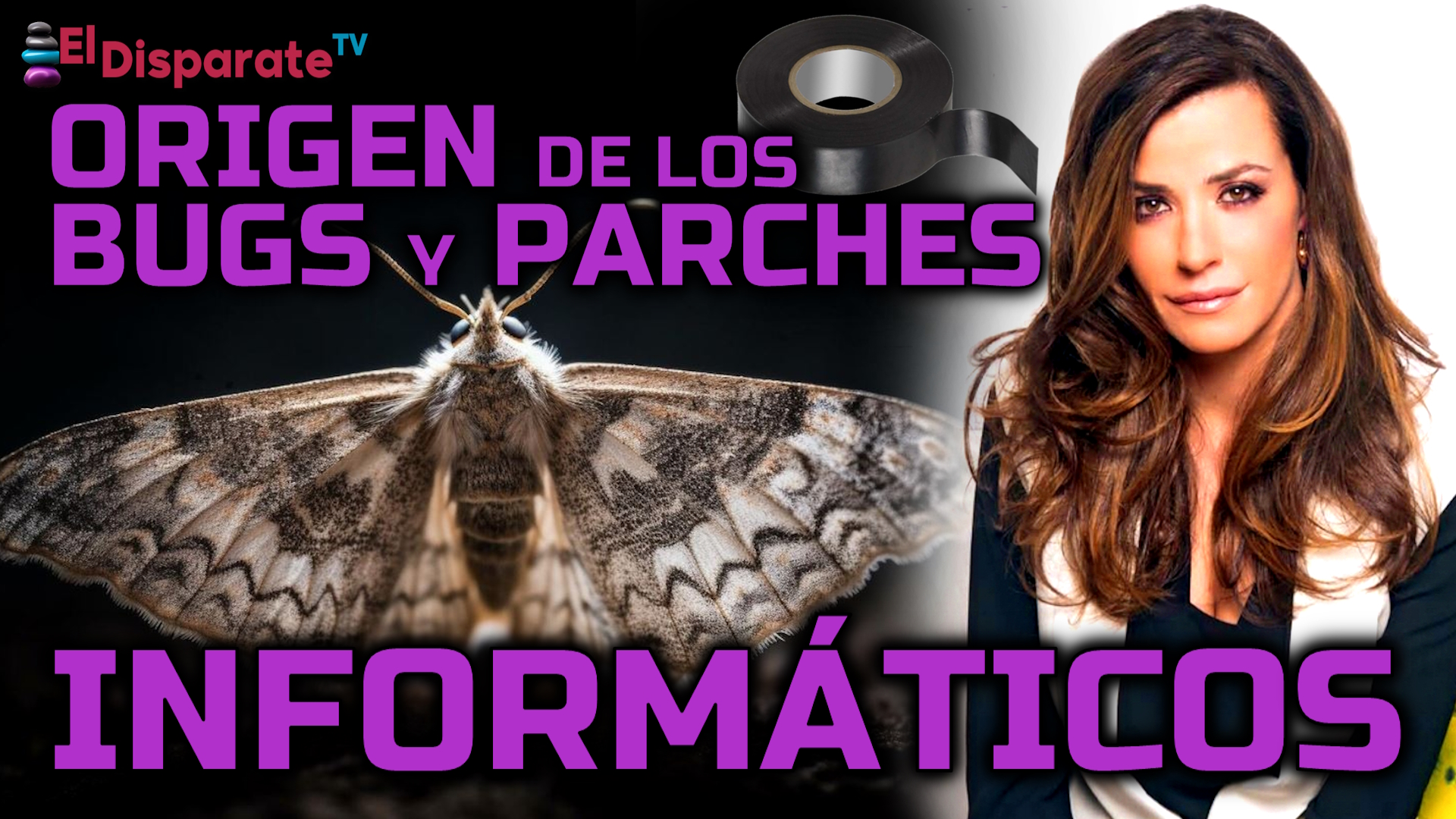 TE LO RESUMO | Origen de los «Bugs» y «Parches» informáticos 🐞💻 – El ...